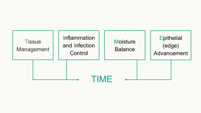 Chronic Wound Treatment with TIME concept